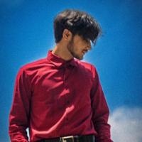 Himanshu_Rawat_12 - LeetCode Profile