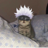 Jeera_Rice - LeetCode Profile