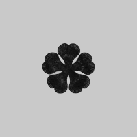 When a user get Knight badge..?? - Discuss - LeetCode