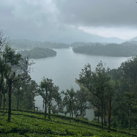 Shafee_77 - LeetCode Profile