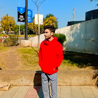 Sujal_385 - LeetCode Profile