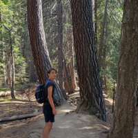 TY4jZbCJA7 - LeetCode Profile