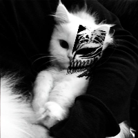 Ved_commit - LeetCode Profile