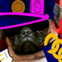 pug_jotaro_is_not_real - LeetCode Profile