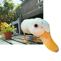 Super Easy Problem List: For Beginners and Devs Learning a New Language - Discuss - LeetCode