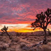 adarsh_1708 - LeetCode Profile