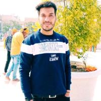 Amit_Bhatia - LeetCode Profile