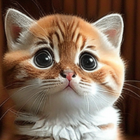 user6845R - LeetCode Profile