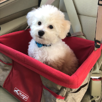 Database SQL Primer (Part 2) [ Window Functions ] - Discuss - LeetCode