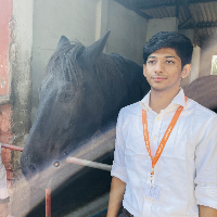 cvcvcvcvcv - LeetCode Profile