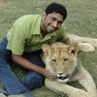 harsha - LeetCode Profile