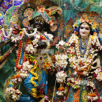 harshsingh0673 - LeetCode Profile