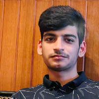 mukulkrit14 - LeetCode Profile