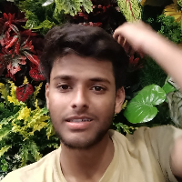 rajputanuj303 - LeetCode Profile