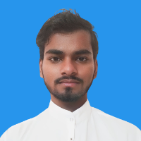 rajvikash18113 - LeetCode Profile