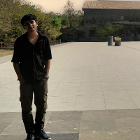 rishabh_dubey3132 - LeetCode Profile