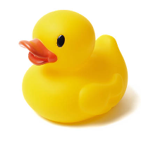 singla__rohan - LeetCode Profile