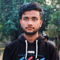 mdsibtain - LeetCode Profile